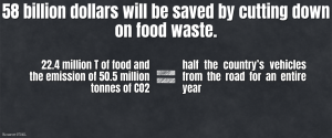 Food Waste Statistics from Australia to Remember in 2024 – Accumulate ...