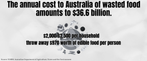 Food Waste Statistics from Australia to Remember in 2024 – Accumulate ...