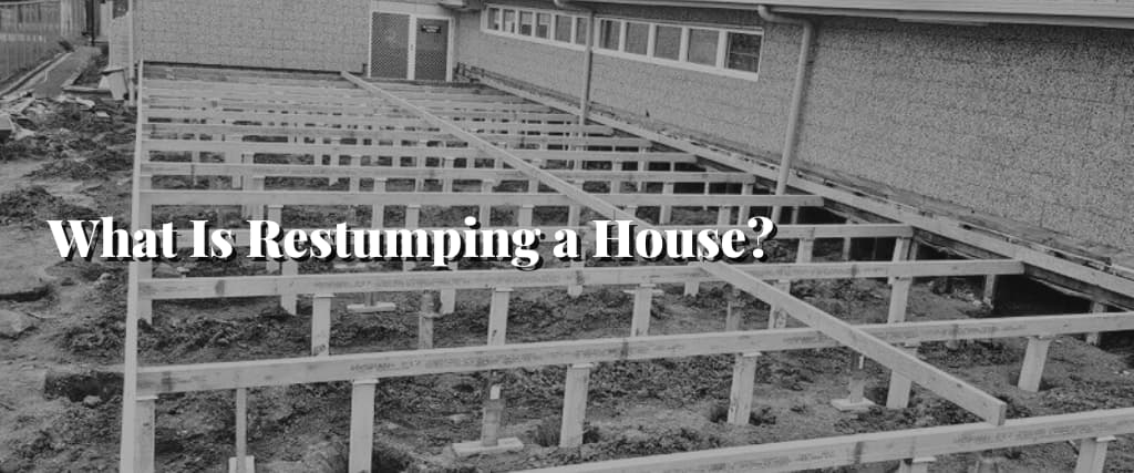 How Much Does It Cost To Restump A House [2024 Guide] – Accumulate ...