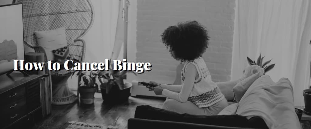 How to Cancel Binge Subscription in 2024 – Accumulate Australia