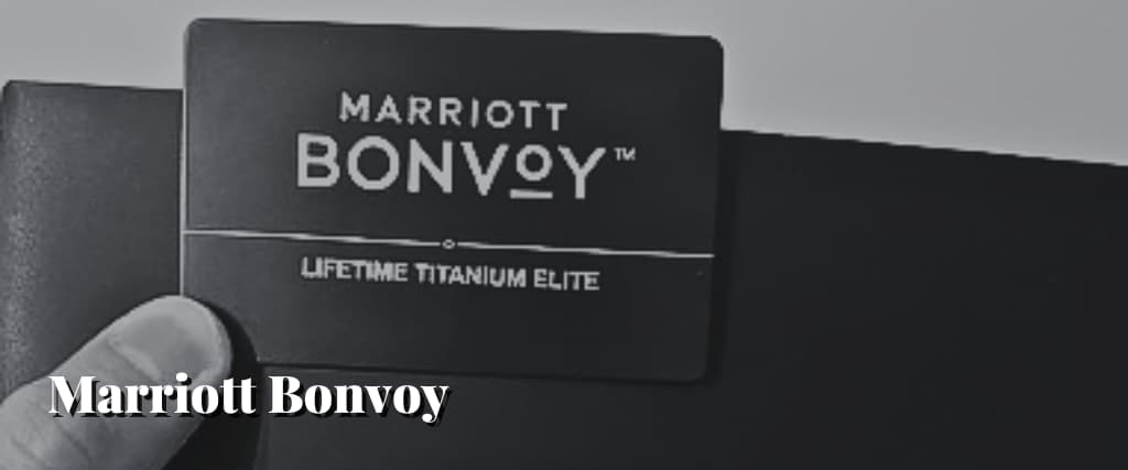 Australia’s Most Popular Loyalty Programs by Members in 2024 ...