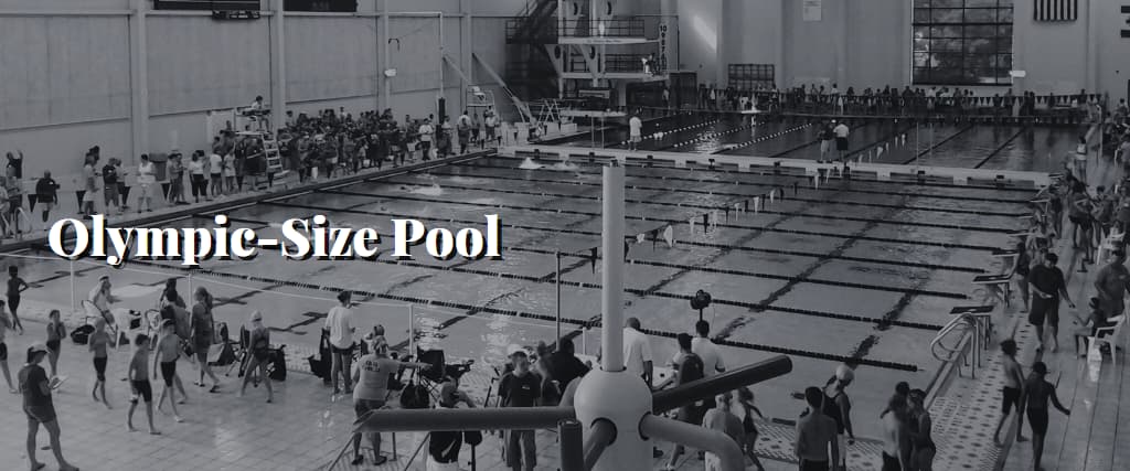 How Much Does It Cost to Install a Swimming Pool in Australia ...